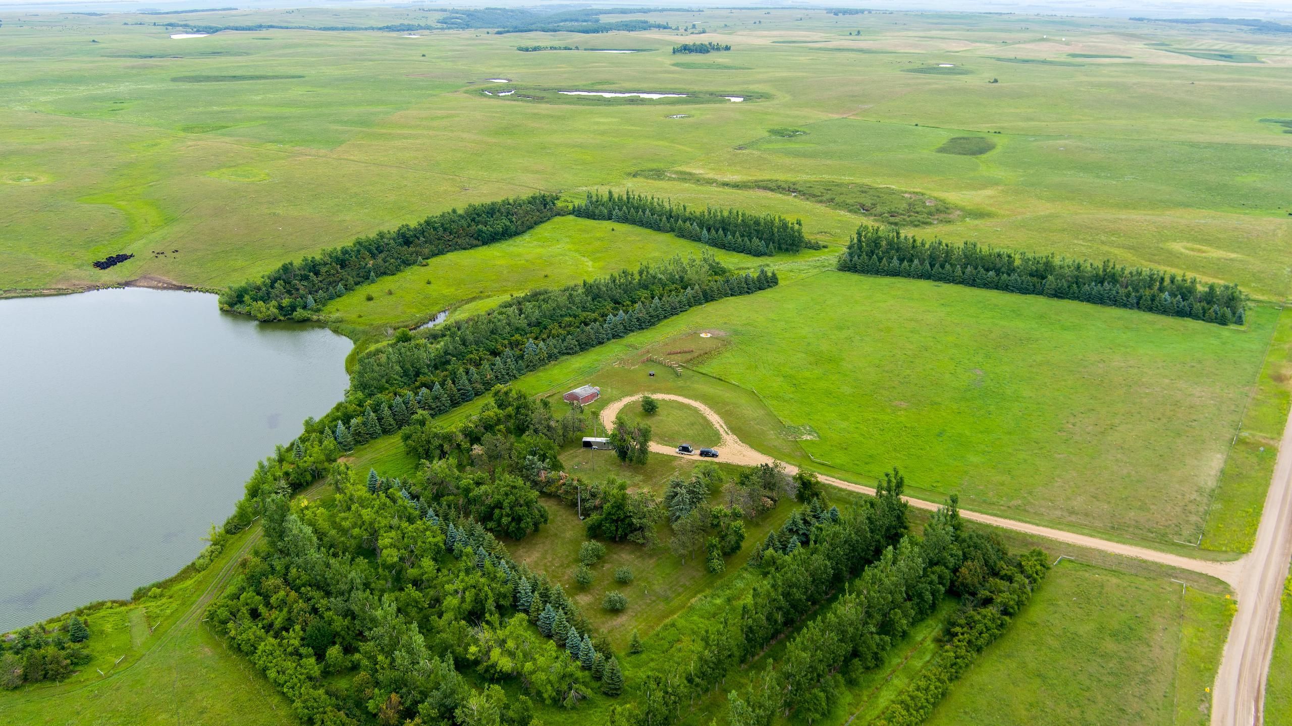 43688 104th Street, Veblen, SD 57270 | Land and Farm