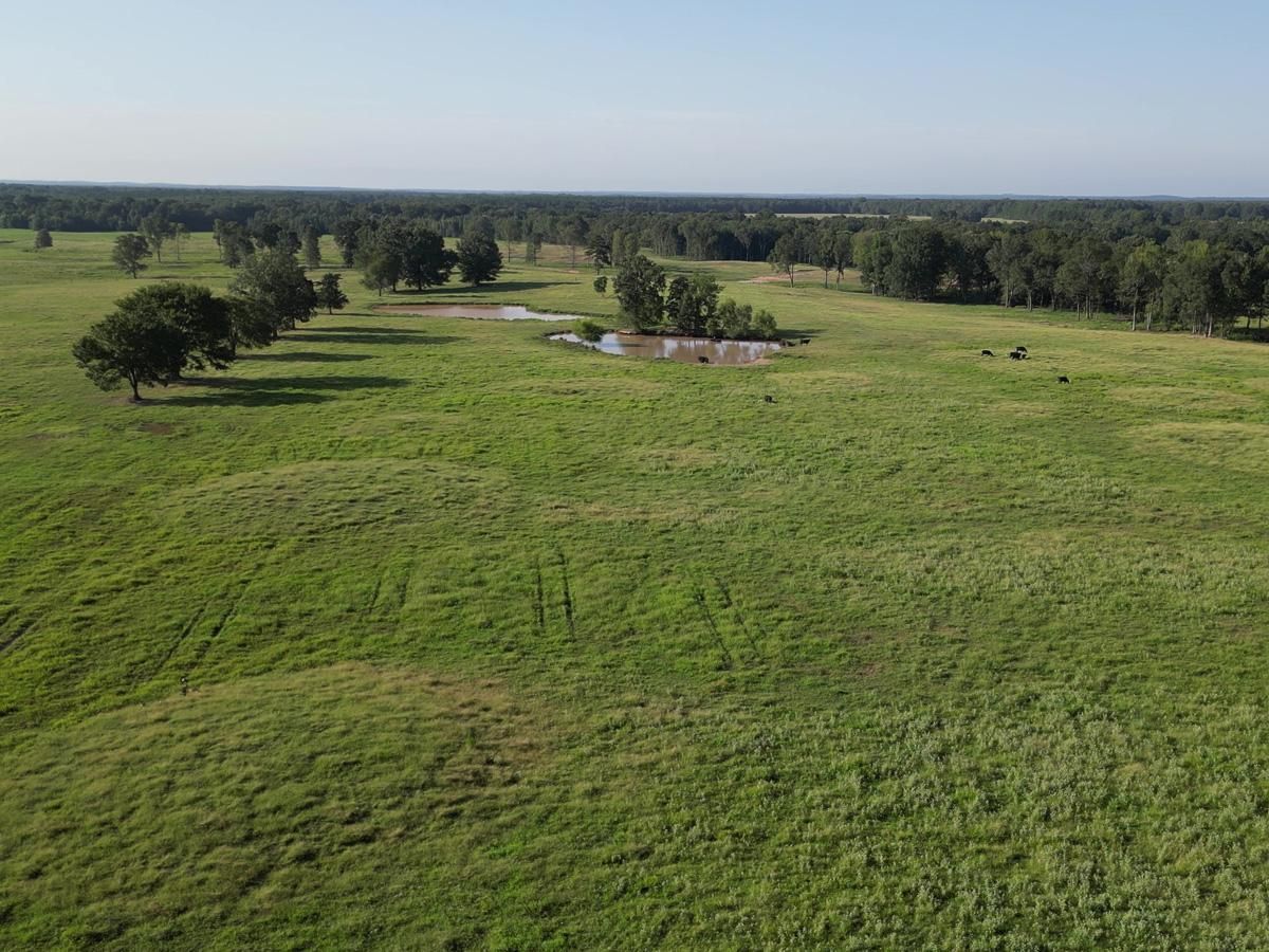 1,000 acres in Simms, TX, 75574 | Land and Farm