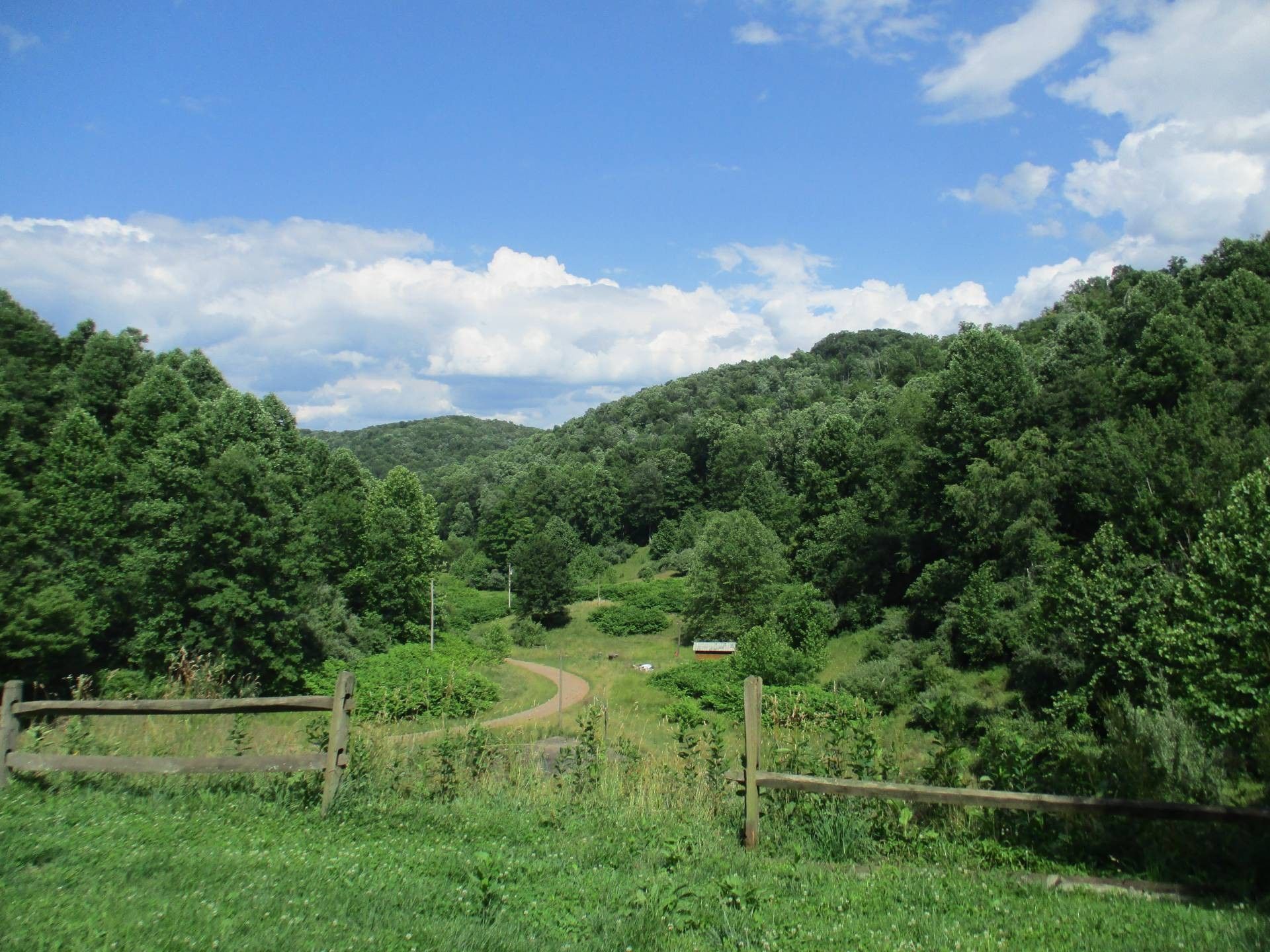 199 Acres, 890 Toler Fork Rd, Sand Fork, WV 26430 | Land and Farm