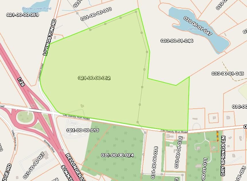 494 Old Sandy Run Road, Gaston, SC 29053 | Land and Farm