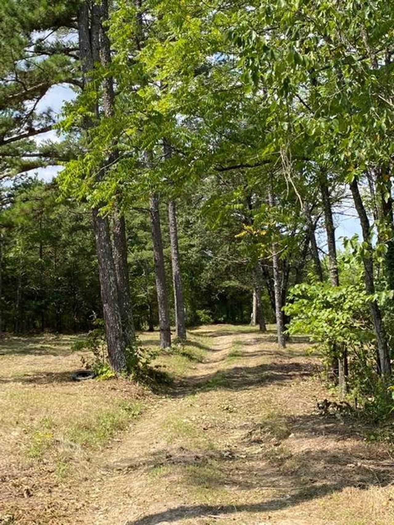 8584 Miley Street, Winona, MO 65588 | Land and Farm