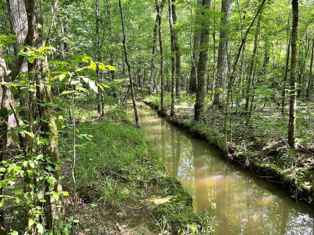 Marble Valley Rd, Sylacauga, AL 35151 | Land and Farm