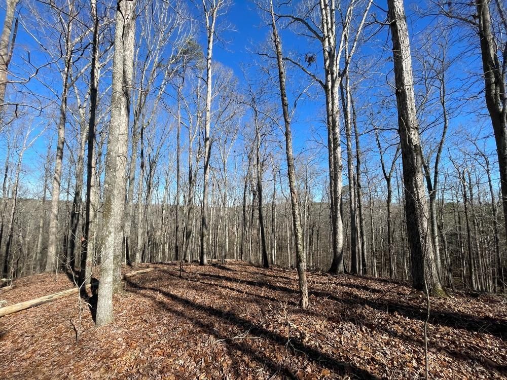 00 Cemetery Rd, Grantville, GA 30220 | Land and Farm