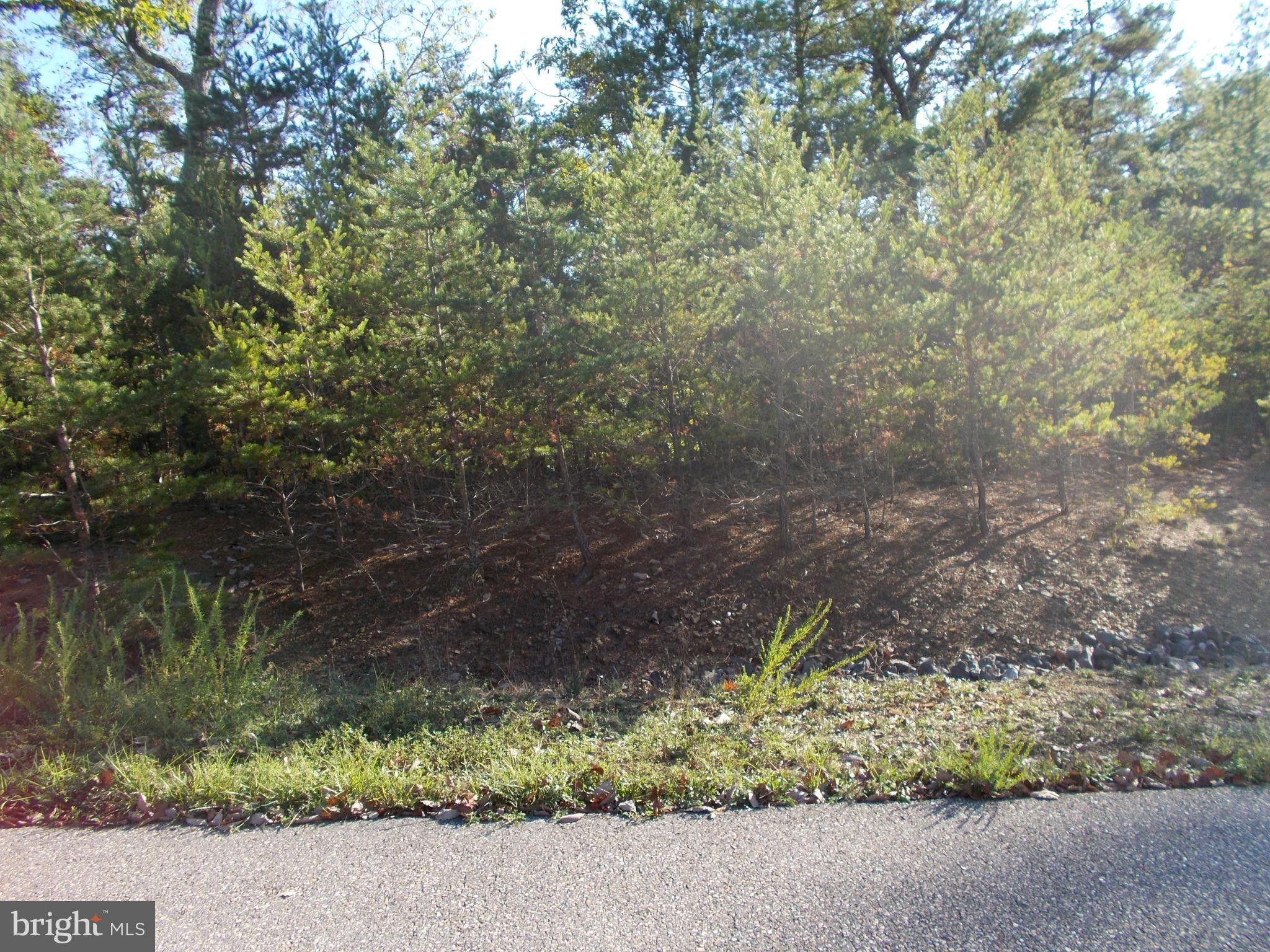 0.35 Acres, FALCON HAVEN, Basye, VA 22810 | Land and Farm