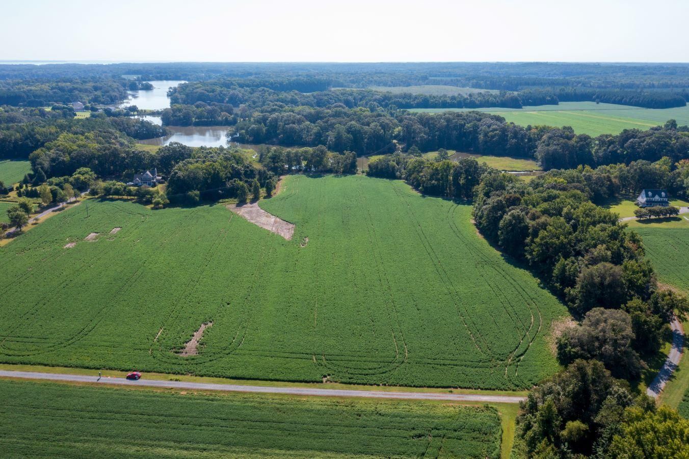 19.65 acres in Hague, VA, 22469 | Land and Farm