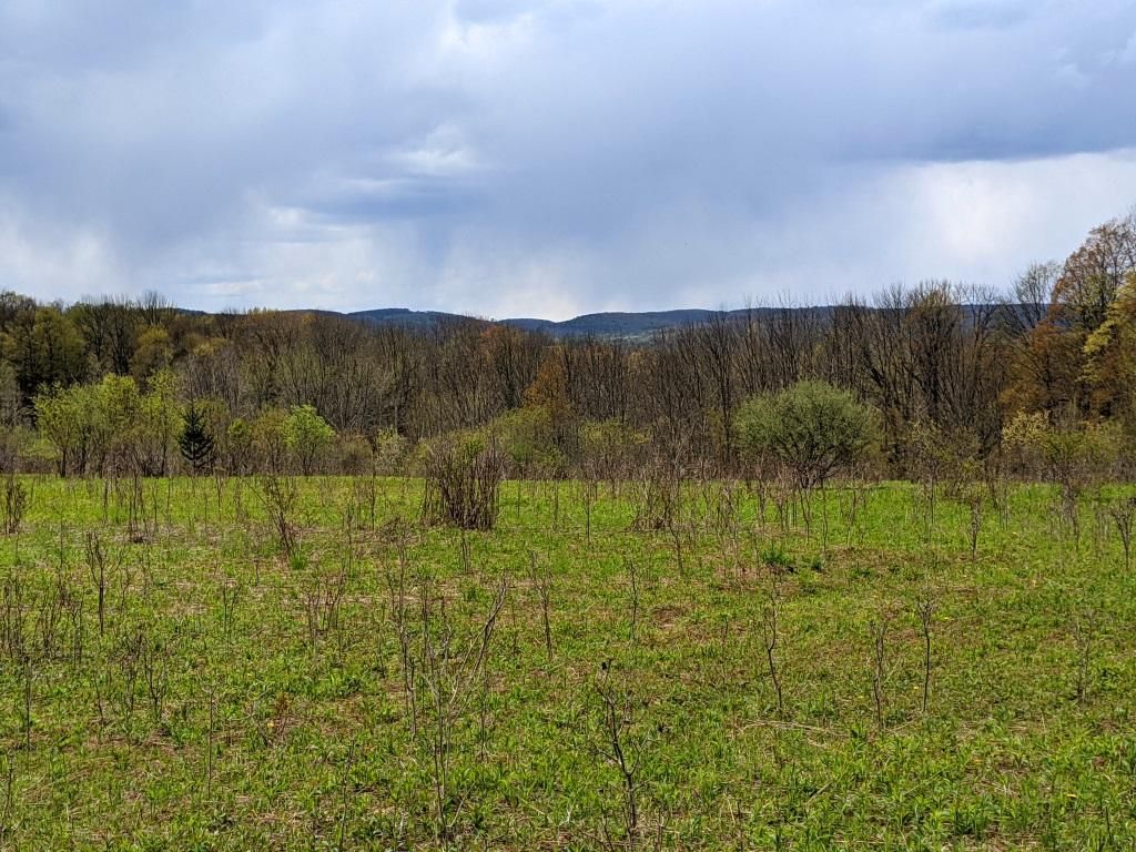 County Road 4, Butternuts, NY 13843 | Land and Farm