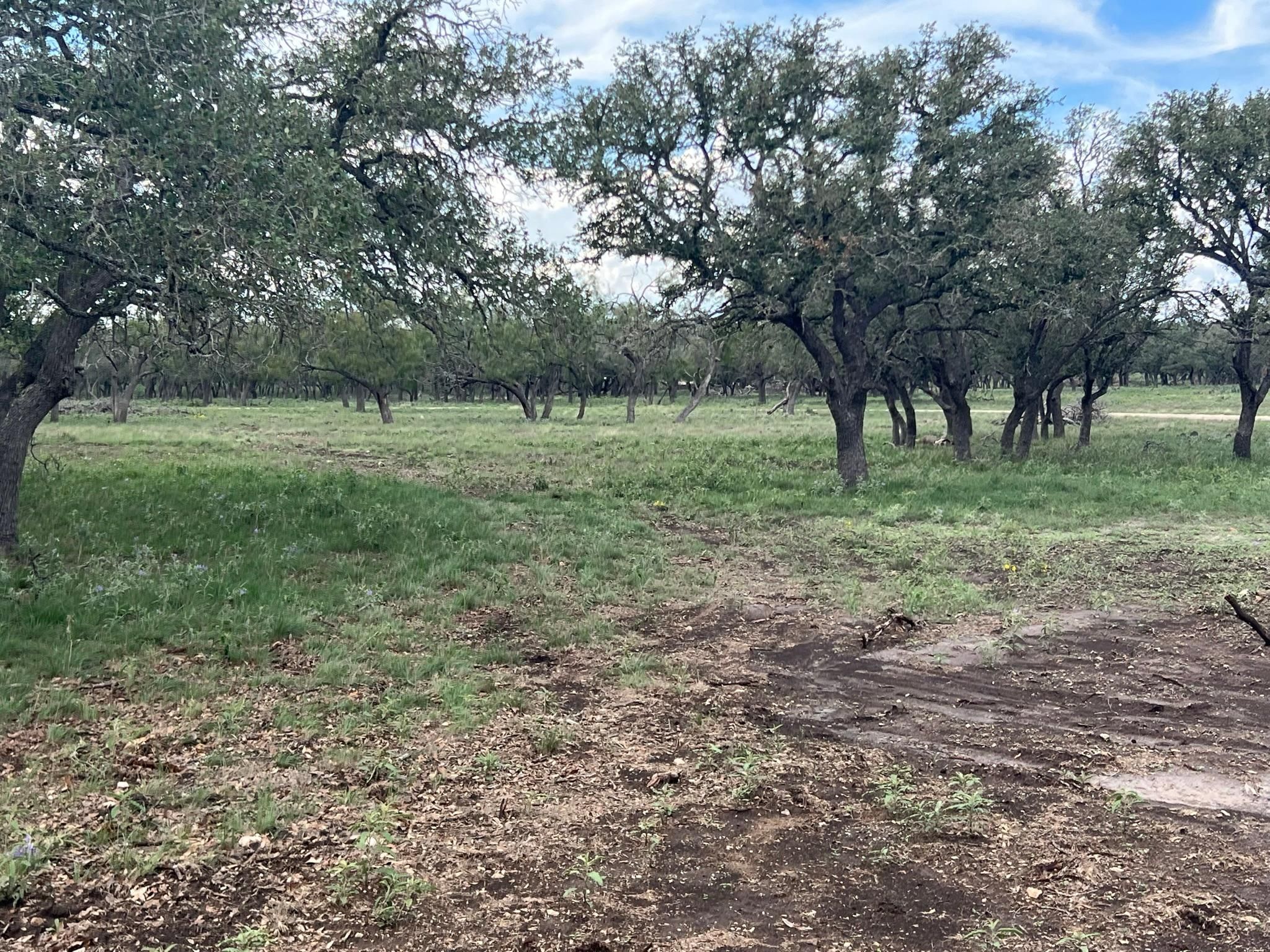 10 acres in Harper, TX, 78631 | Land and Farm