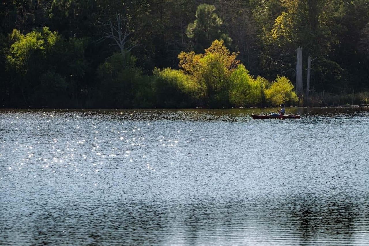 292 acres in Springfield, TX, 75853 | Land and Farm