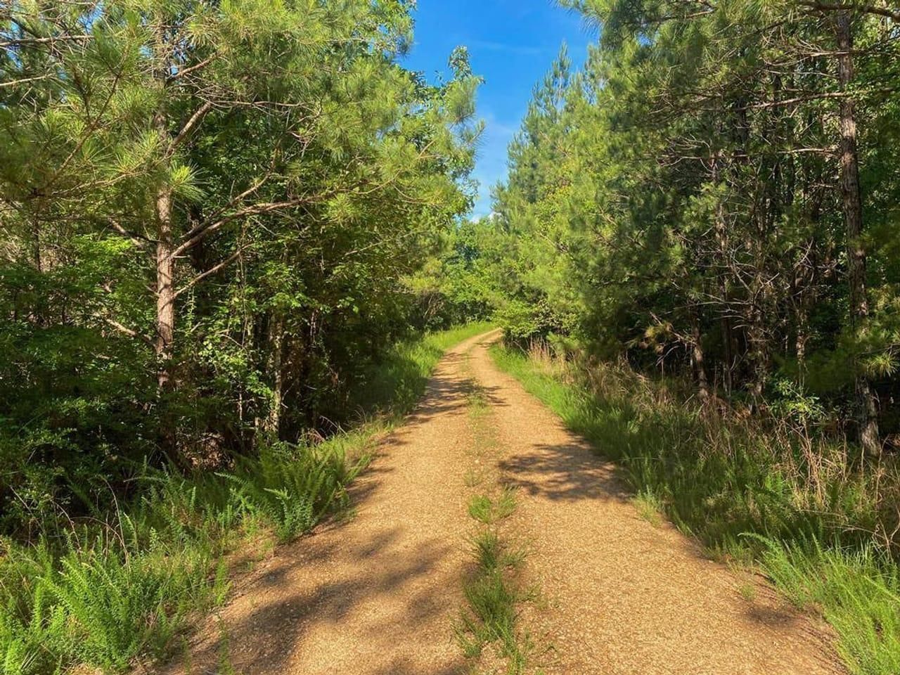 0 Cole Road, Crosby, MS 39633 | MLS: 136512 | Land and Farm