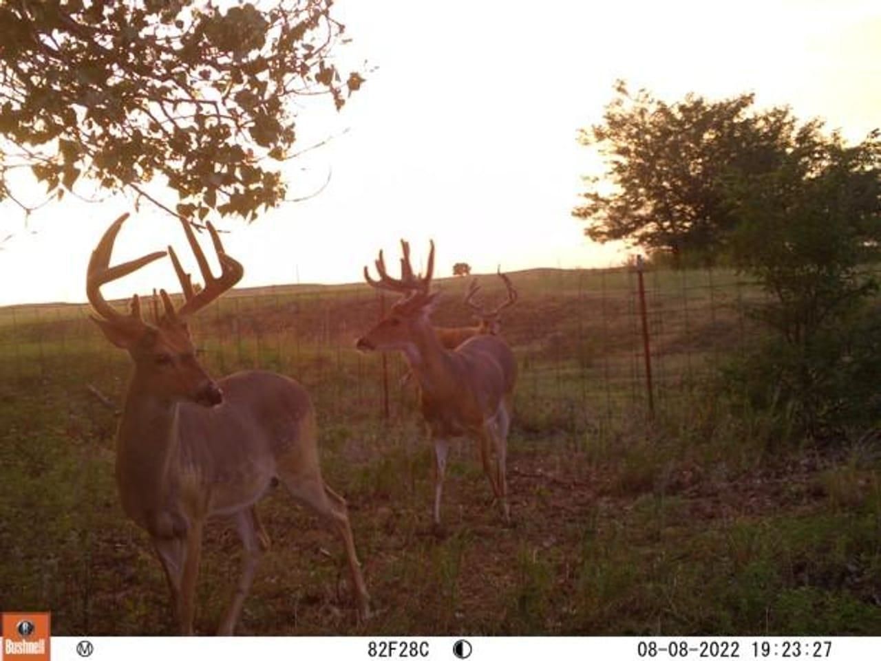 750 Acres, 1508 road 15, Coldwater, KS 67029 | Land and Farm