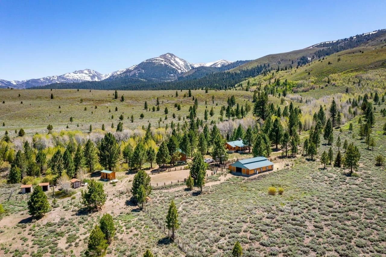 79253 Little Walker River Road, Sonora Junction, CA 93517 | Land and Farm