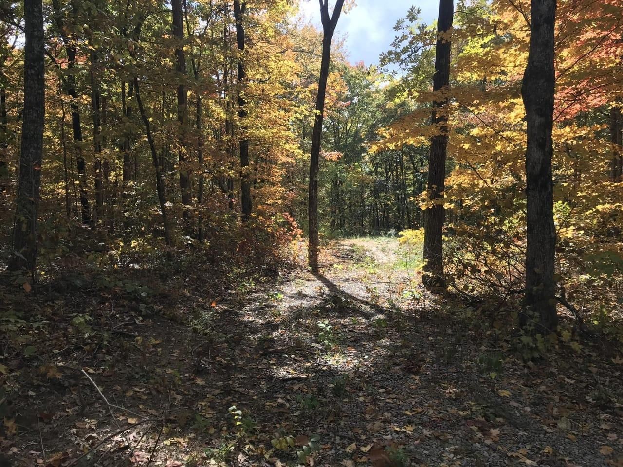 6.29 Acres, 0 Wilson Ridge Road, Wilder, TN 38589 | Land and Farm