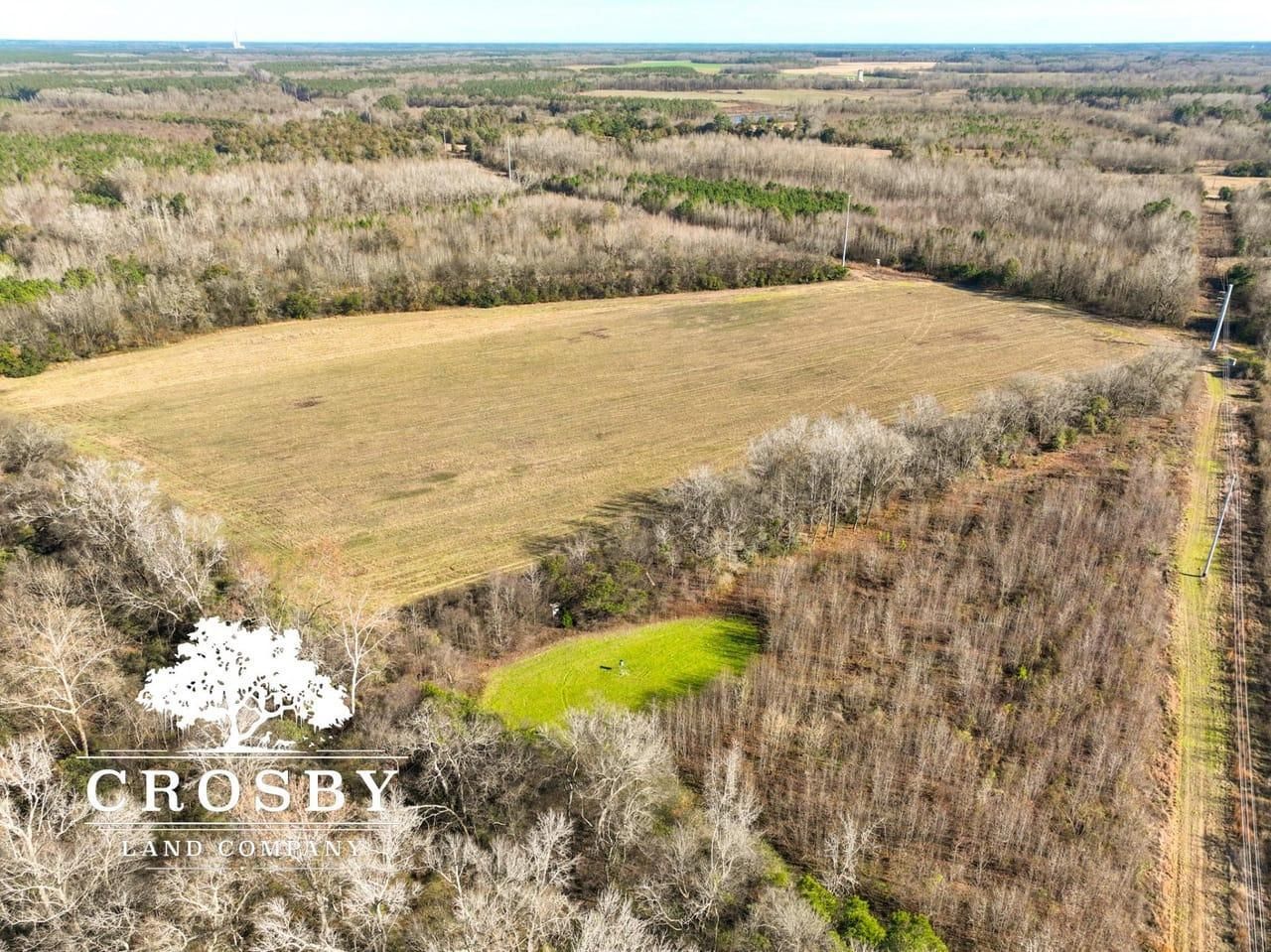 203 Acres, Denmark, SC 29042 | Land and Farm