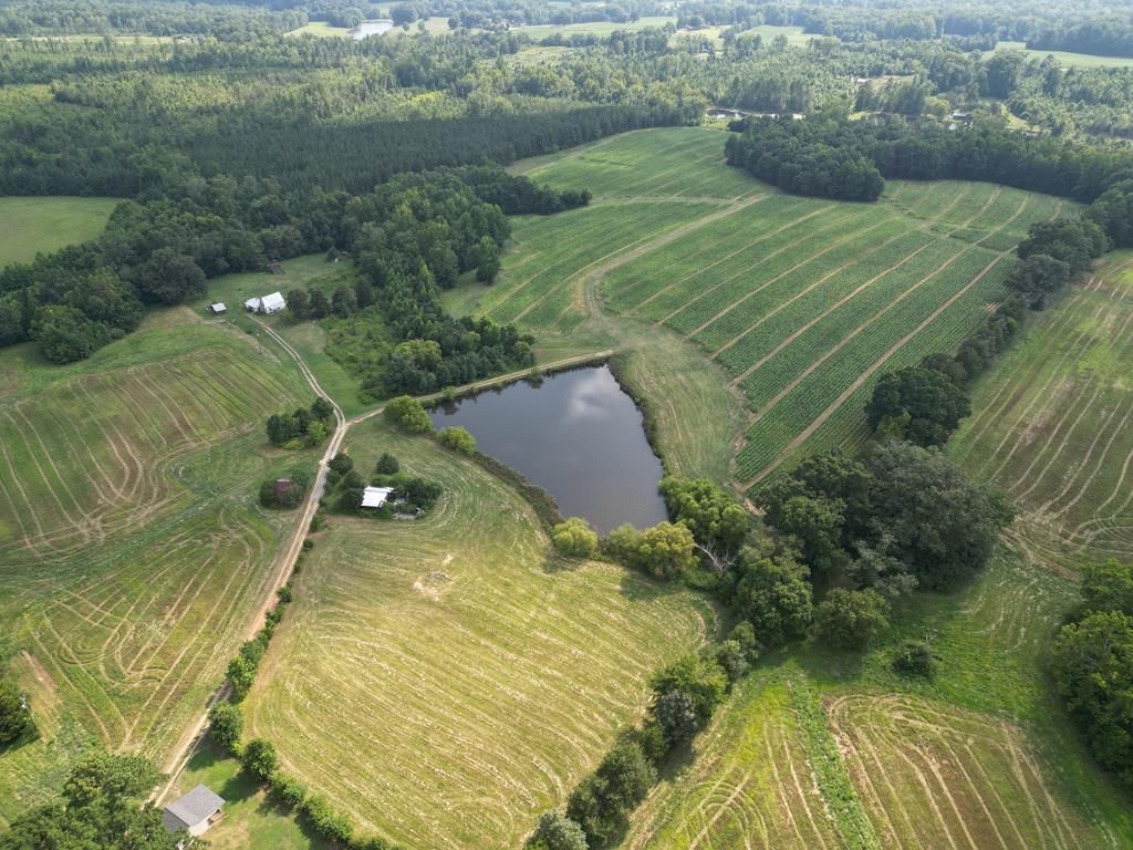 Cutsey Hill Road, Chase City, VA 23924 | MLS: 45007-67250 | Land and Farm