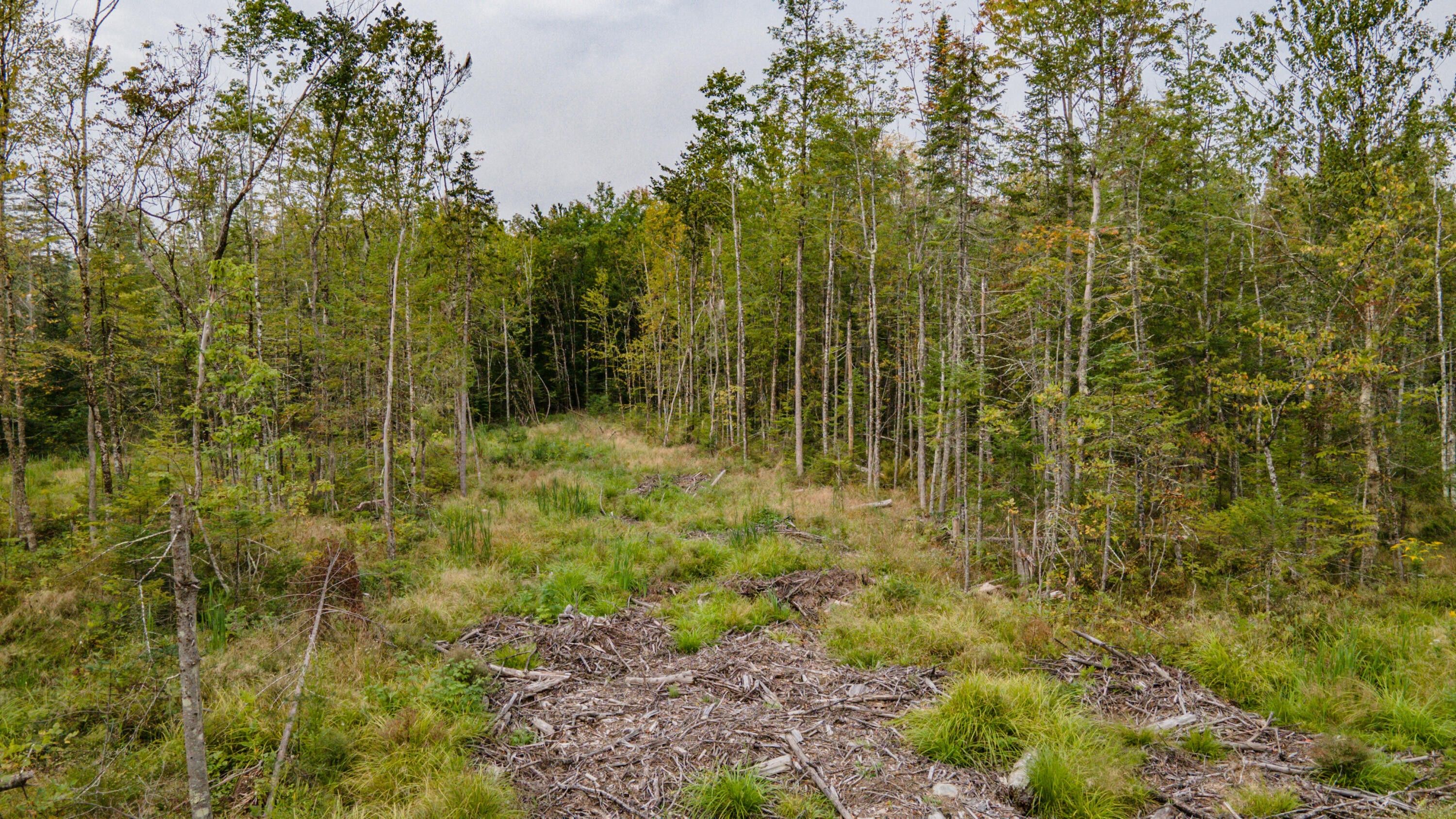 18 Acres, Tbd Mount Road, Burnham, ME 04922 | Land and Farm