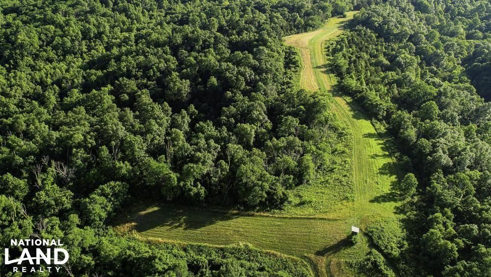 180.38 Acres, 1869 Persimmon Ridge Road, Carlisle, KY 40311 | Land and Farm