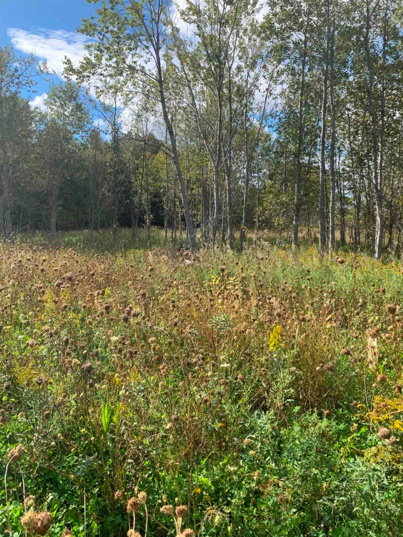 23.5 Ln, Daggett, MI 49821 | MLS: 50266930 | Land and Farm
