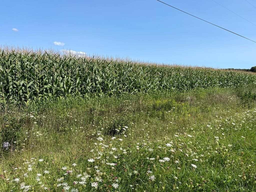 41.30 Ac Sunnyslope Rd, Egg Harbor, WI 54209 | MLS: 140870 | Land and Farm