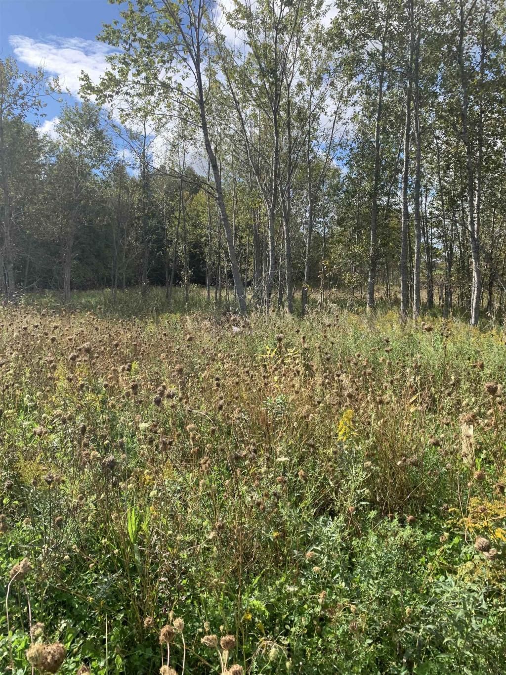 23.5 Lane, Daggett, MI 49821 | MLS: 50266930 | Land and Farm