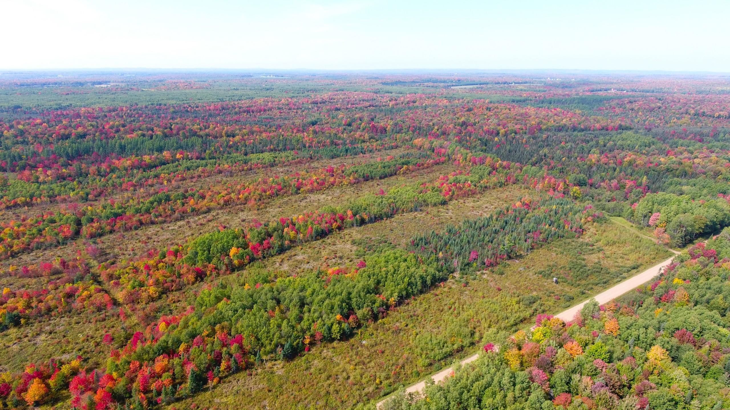 North Pratt Road, Gleason, WI 54435 | Land and Farm