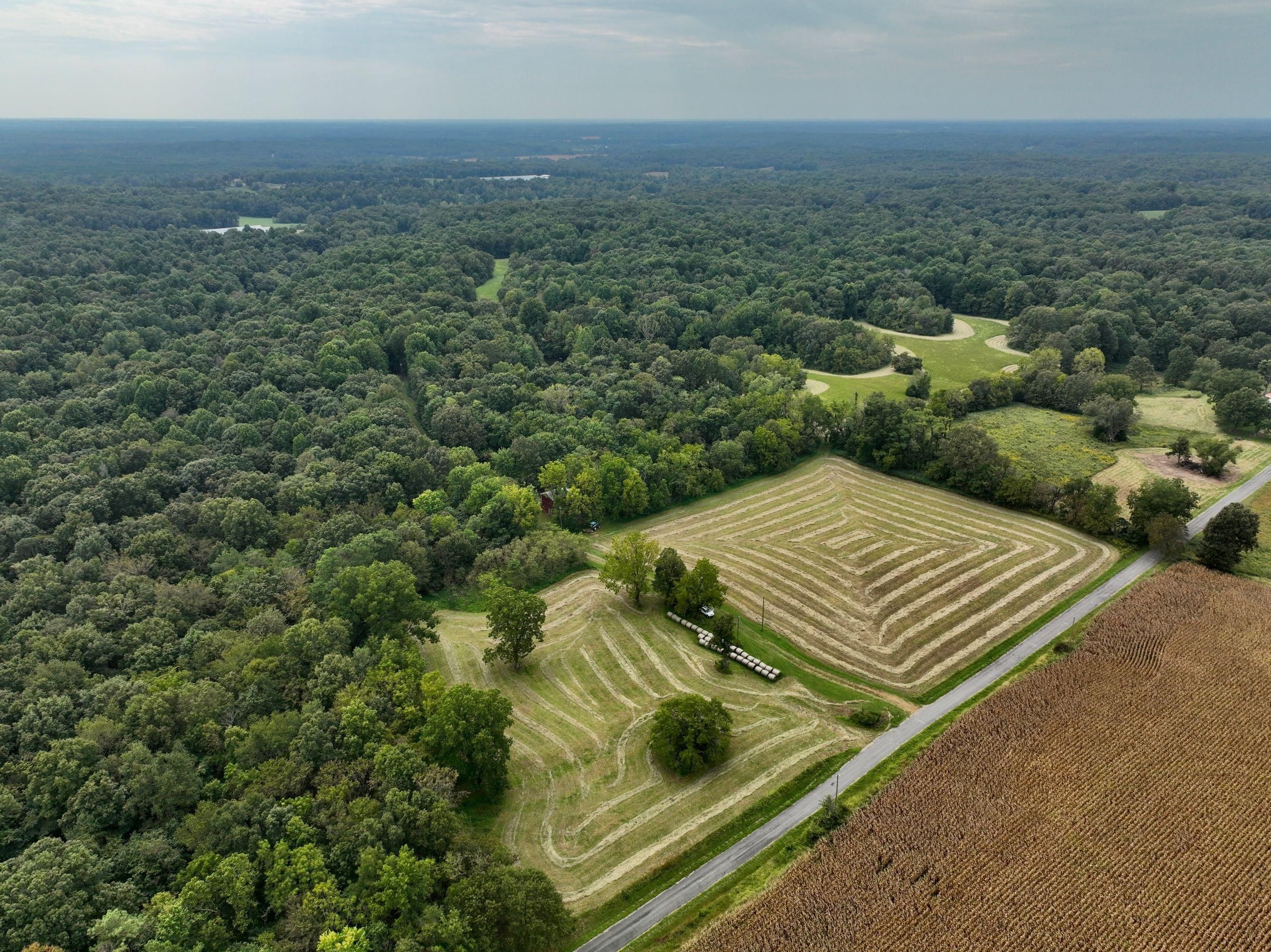 000 Wiggles Road, Sedalia, KY 42079 | Land and Farm