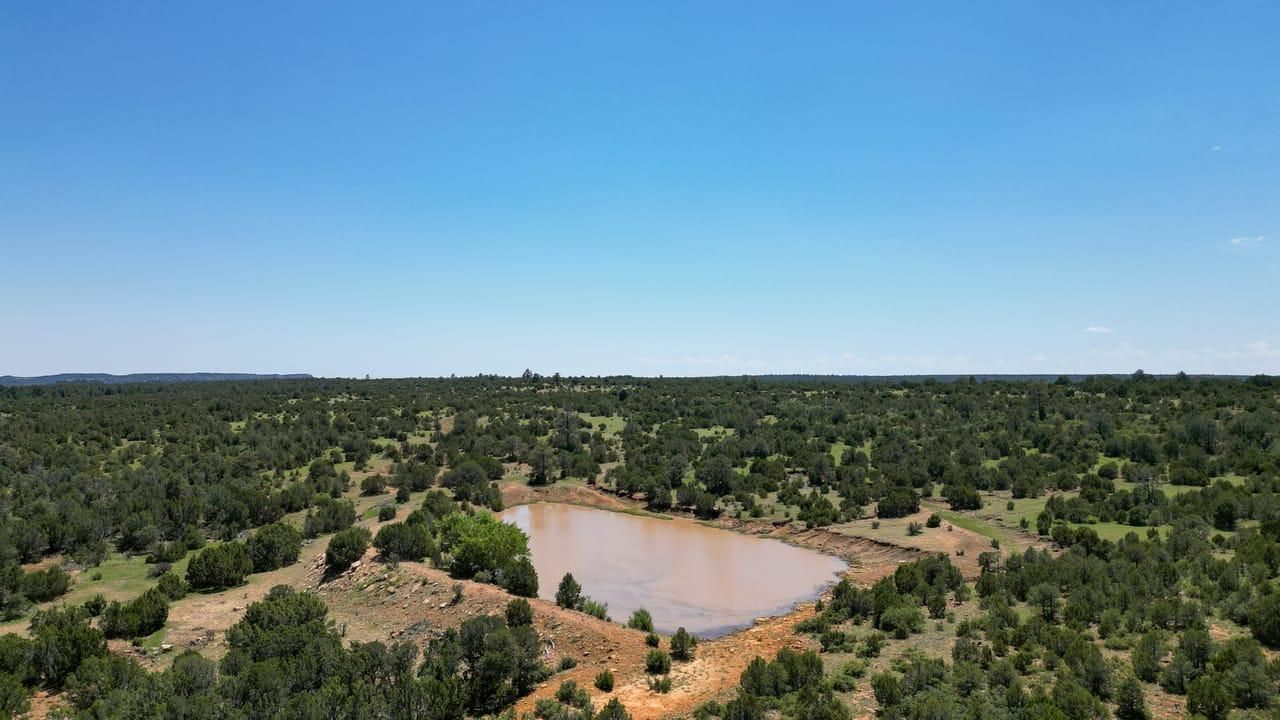 TBD CR 51 Road, Trujillo, NM 87701 | MLS: 65163 | Land and Farm