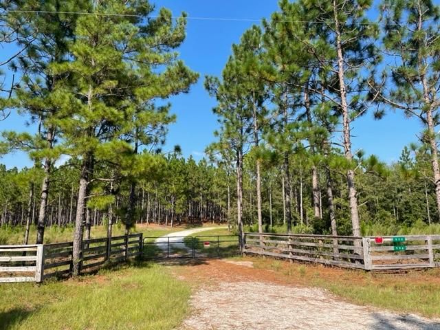 996 Morgan Rd, Kelly, NC 28448 | MLS: 38883741 | Land and Farm