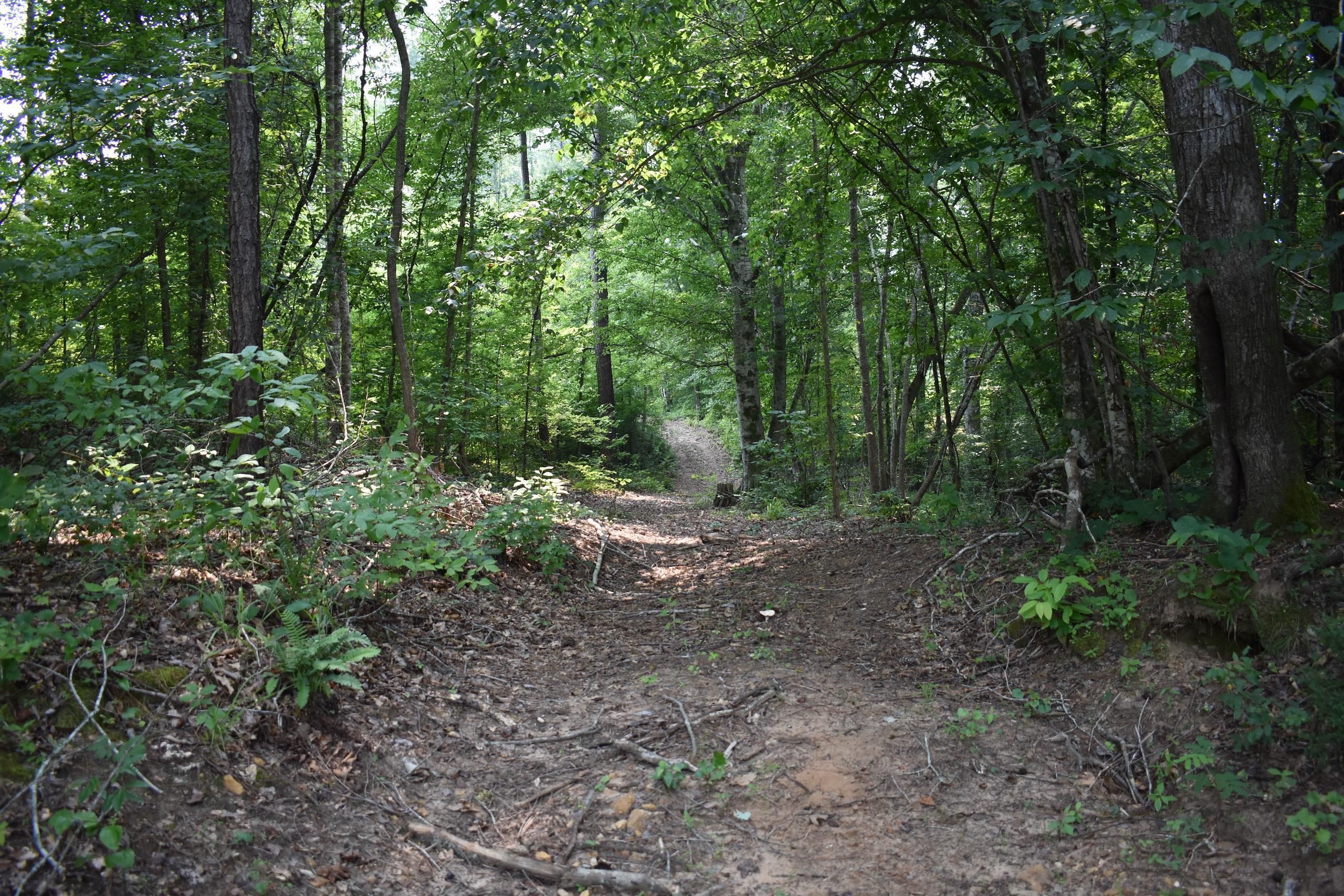 110 Acres, 0 Logtown Rd, Lot#WP001, Thomaston, GA 30286 | Land and Farm