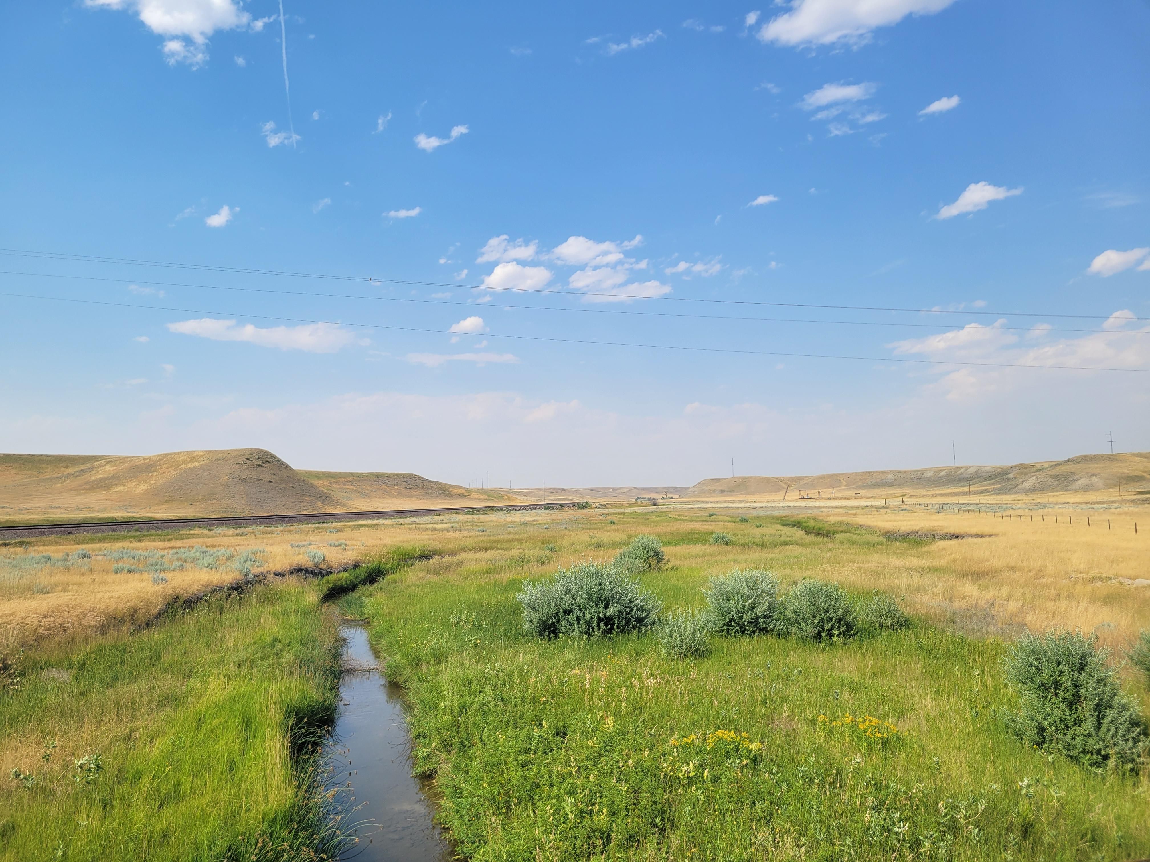 2,600 Acres, Ledger, MT 59425 | Land and Farm