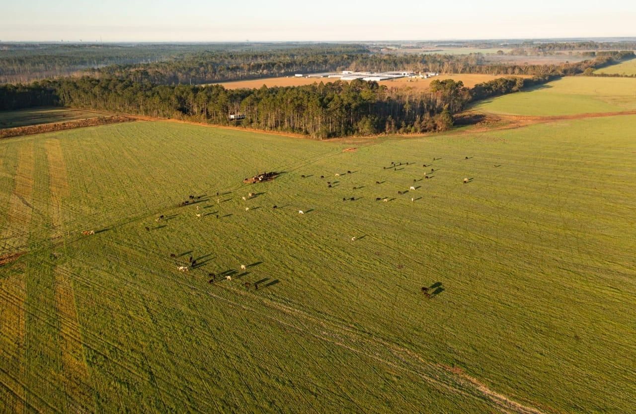 467 acres in Elberta, AL, 36530 | Land and Farm
