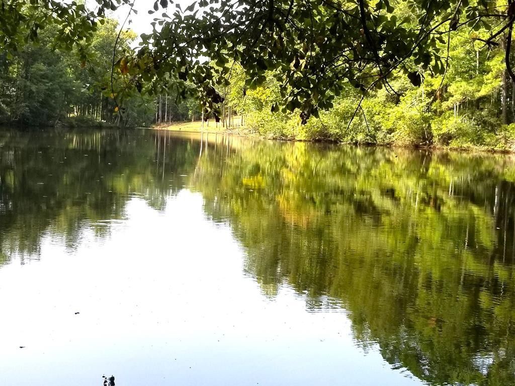 0.87 Acres, Lot 7 Row Boat Lane, Elloree, SC 29047 | Land and Farm