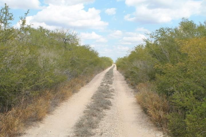 145 acres in Guerra, TX, 78360 | Land and Farm