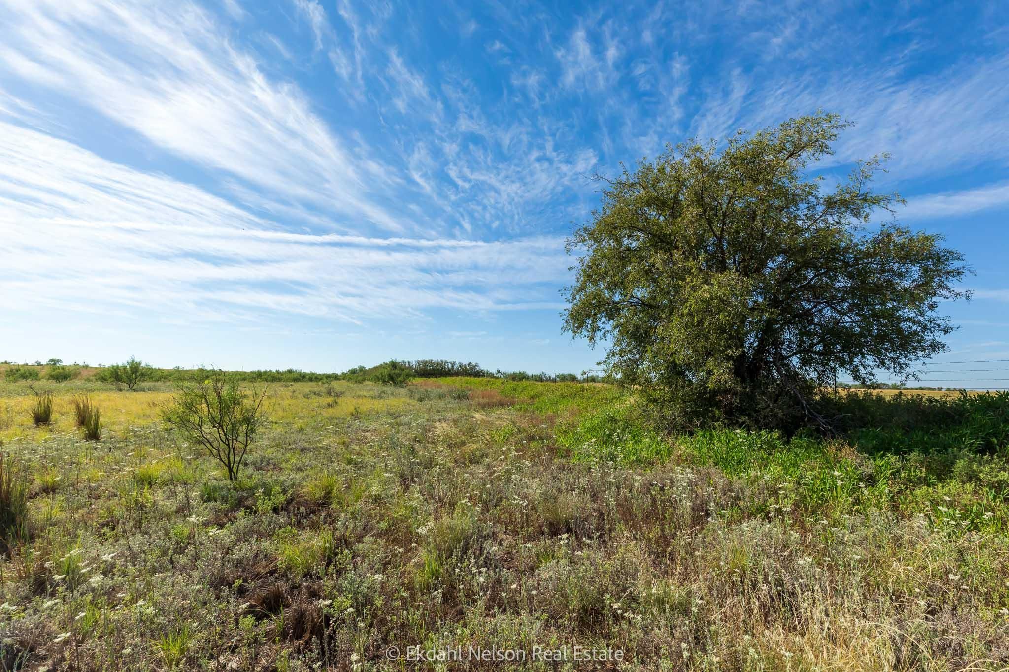 300.75 acres in McCaulley, TX, 79534 | Land and Farm