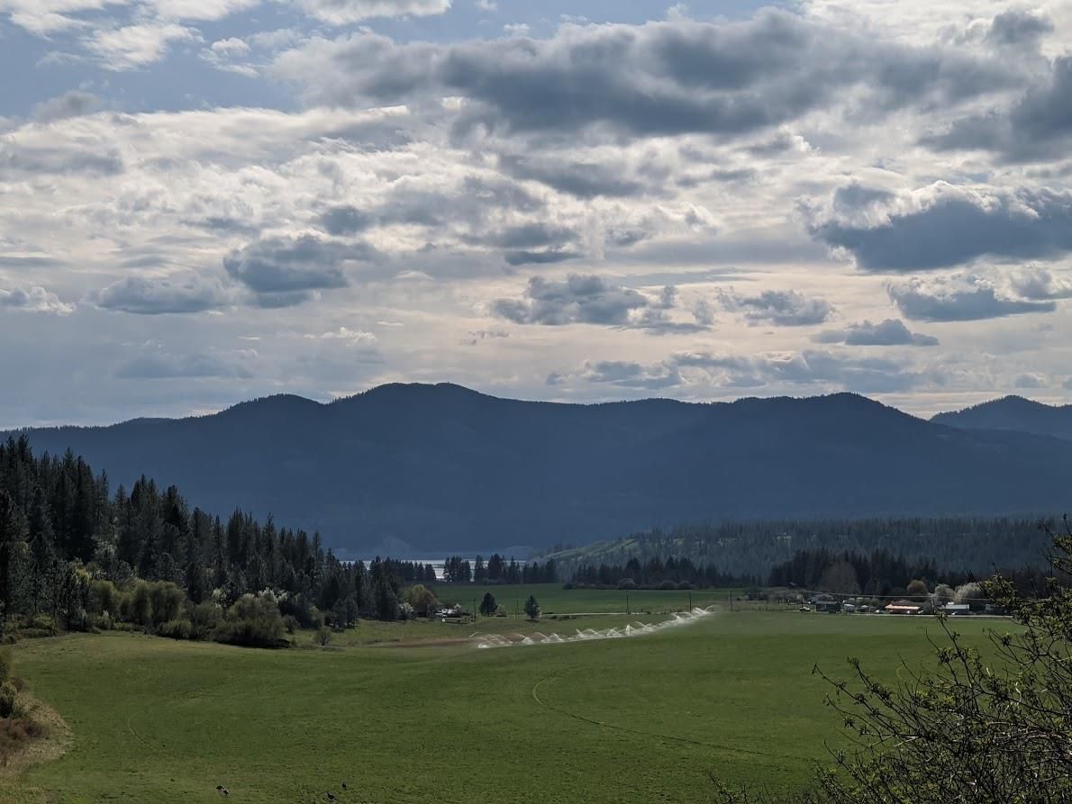 3703 Cedonia-Addy Rd, Hunters, WA 99137 | MLS: 202320026 | Land and Farm