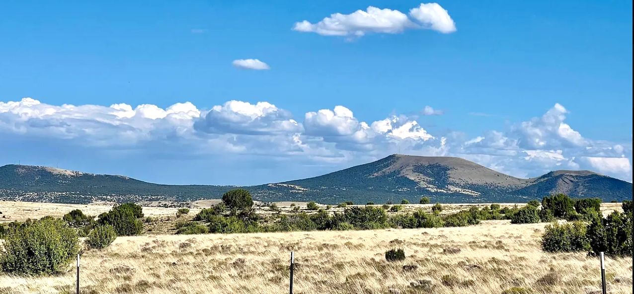 N3367, Vernon, AZ 85940 | Land and Farm