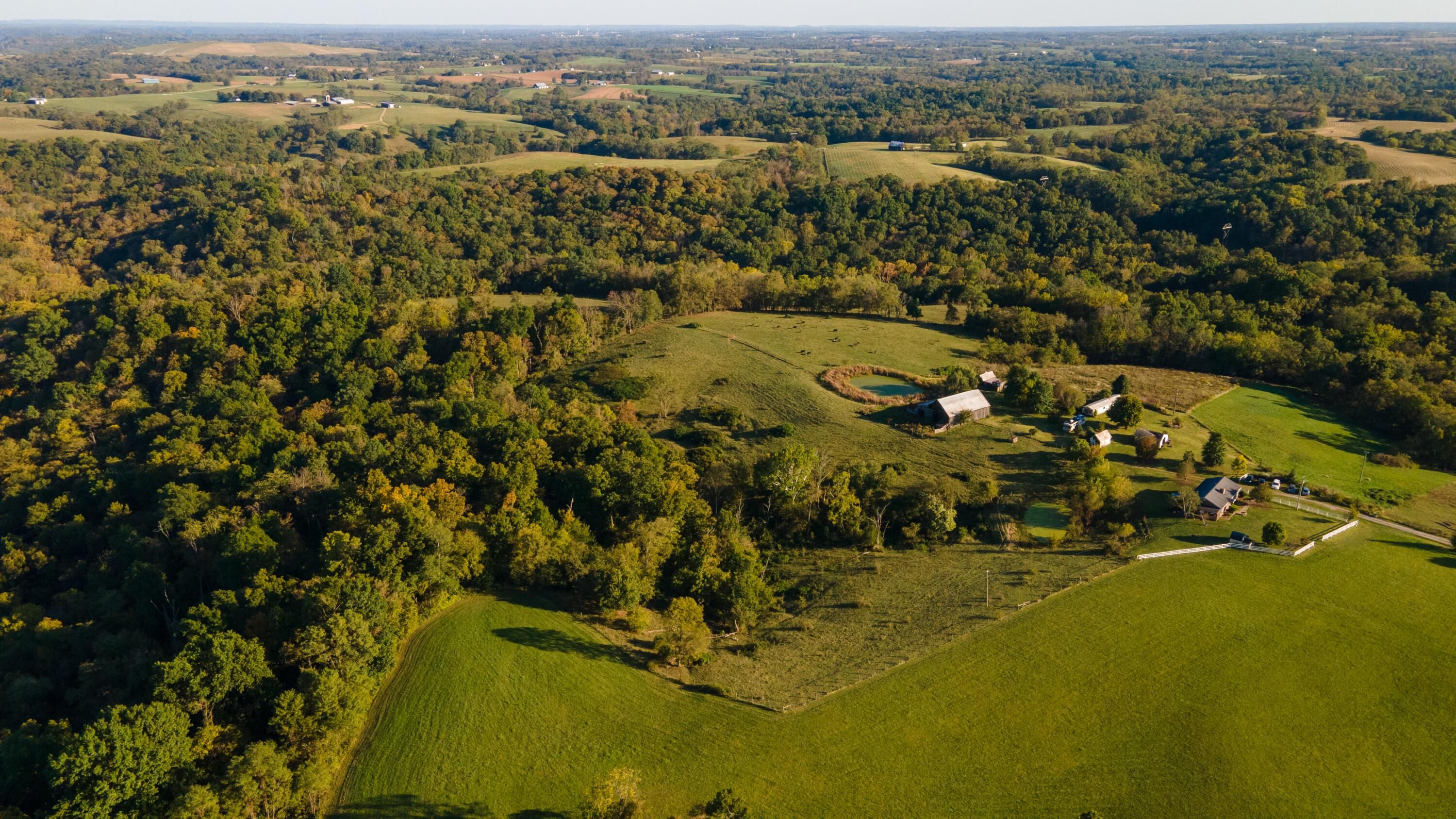 3083 T Wenz Road, Dover, KY 41034 | Land and Farm