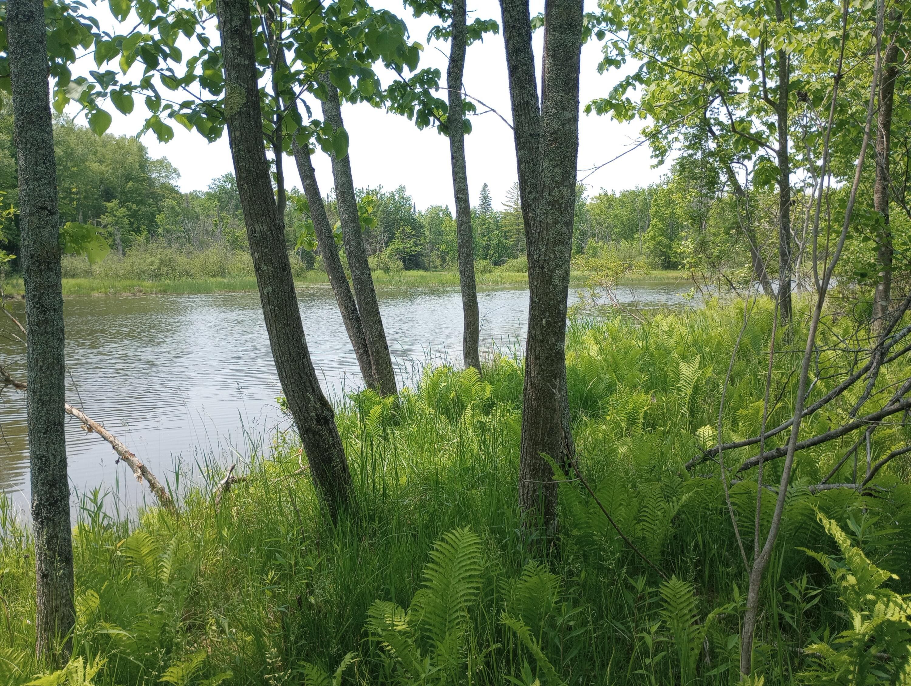 Long Rapids Road, Alpena, MI 49707 | MLS: 201826764 | Land and Farm