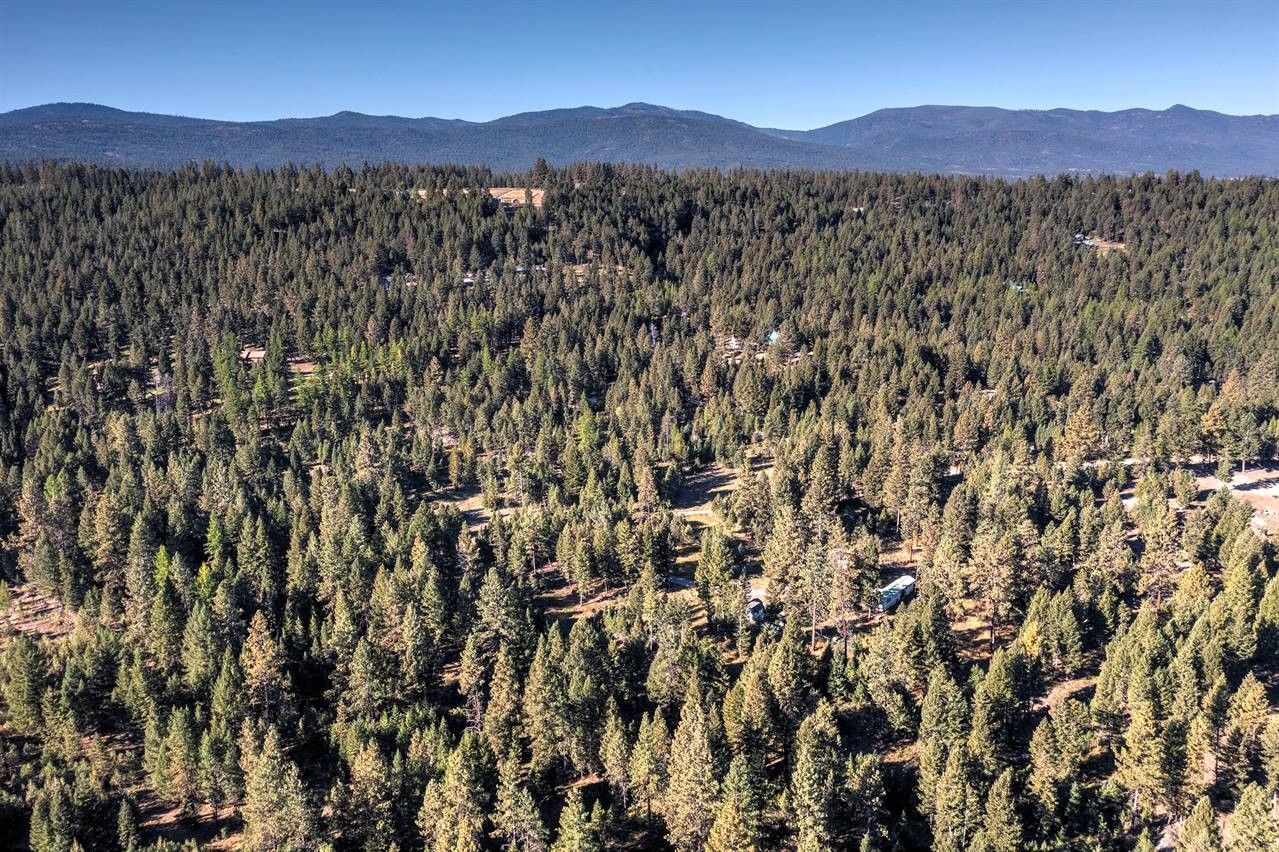 14 Acres, 1600 Copper Cliff, Potomac, MT 59823 | Land and Farm