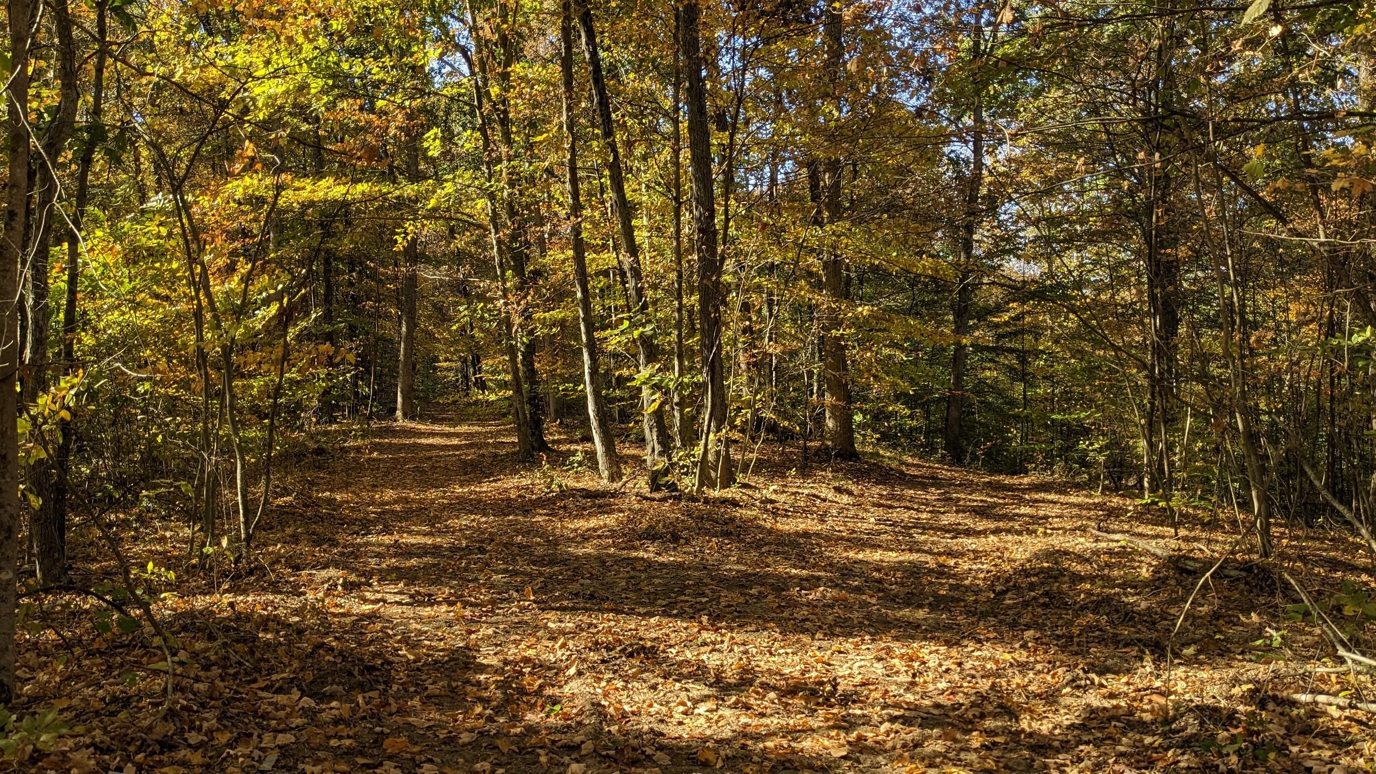 0 O'Neal Road, New Plymouth, OH 45654 | Land and Farm