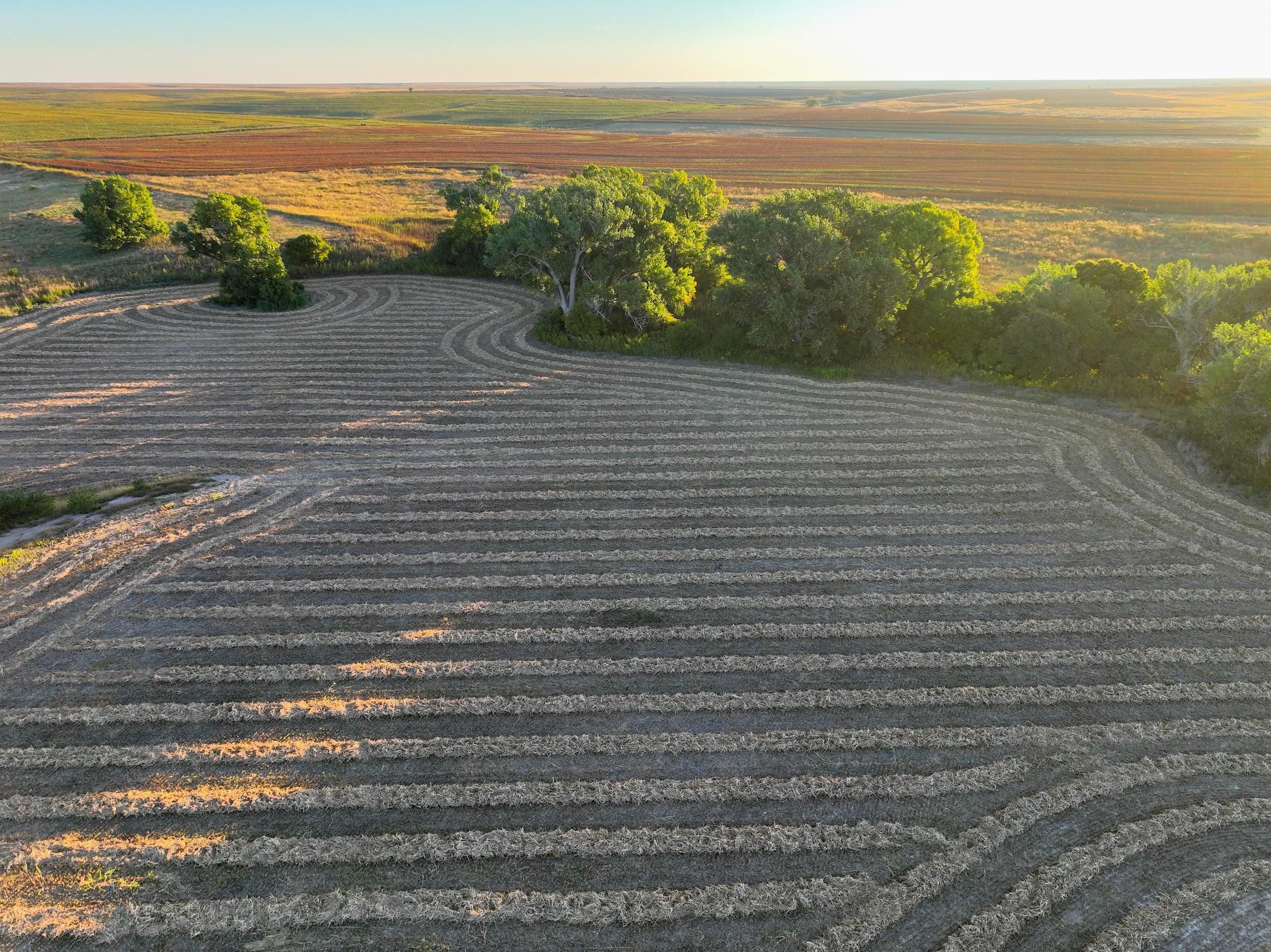 2098 190th Avenue, Lot#WP001, Penokee, KS 67659 | Land and Farm