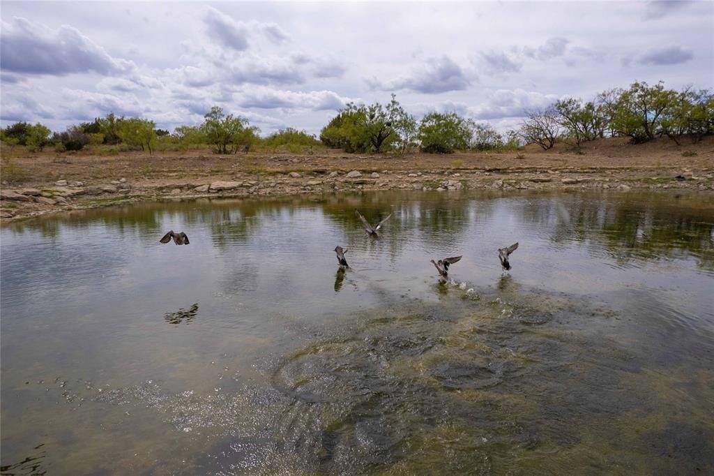 1,118 Acres, 2628,County Road 374,Rd county road 374, Talpa, TX 76882 ...