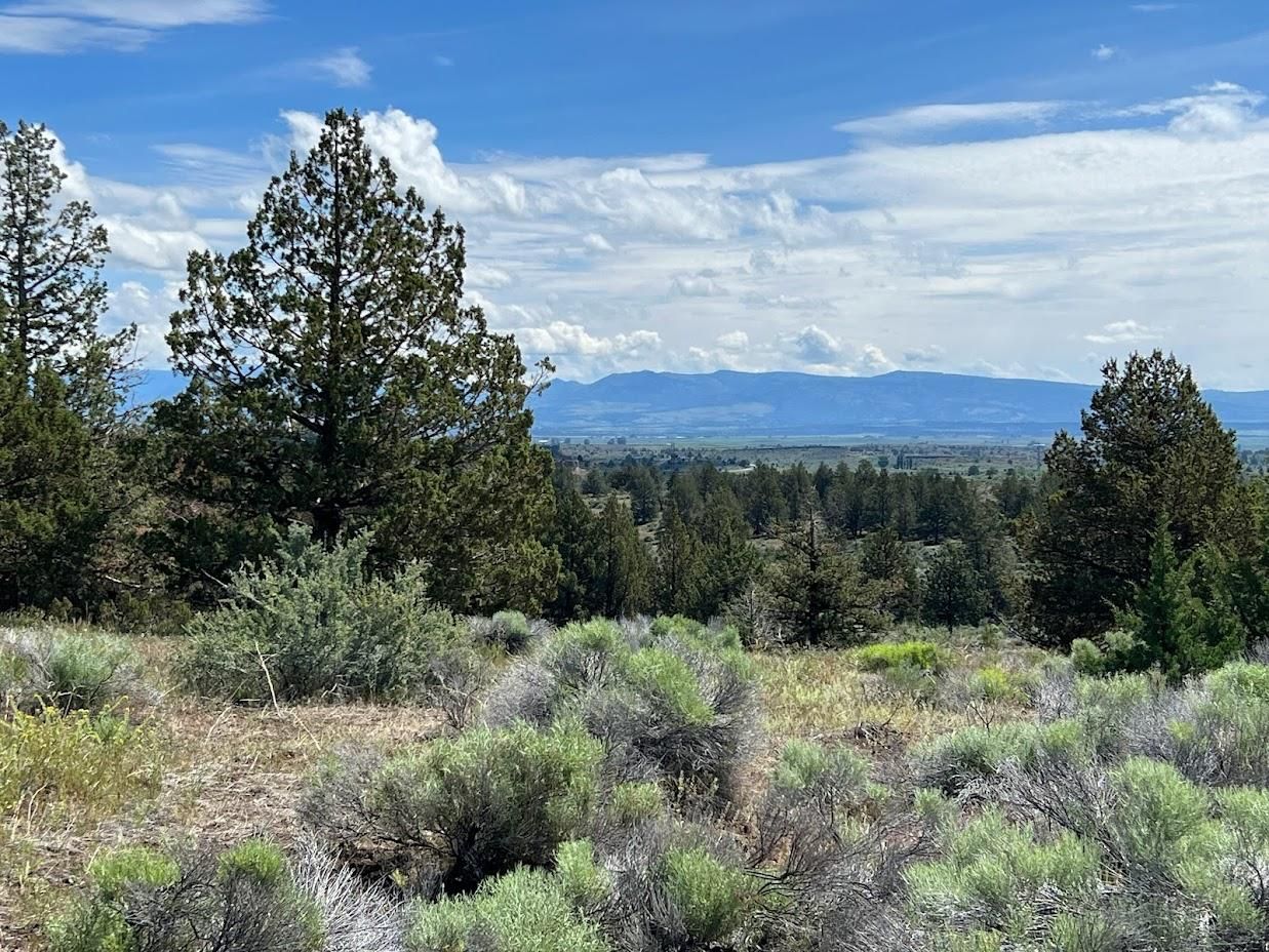 Saddle Up Lane, Alturas, CA 96101 | Land and Farm
