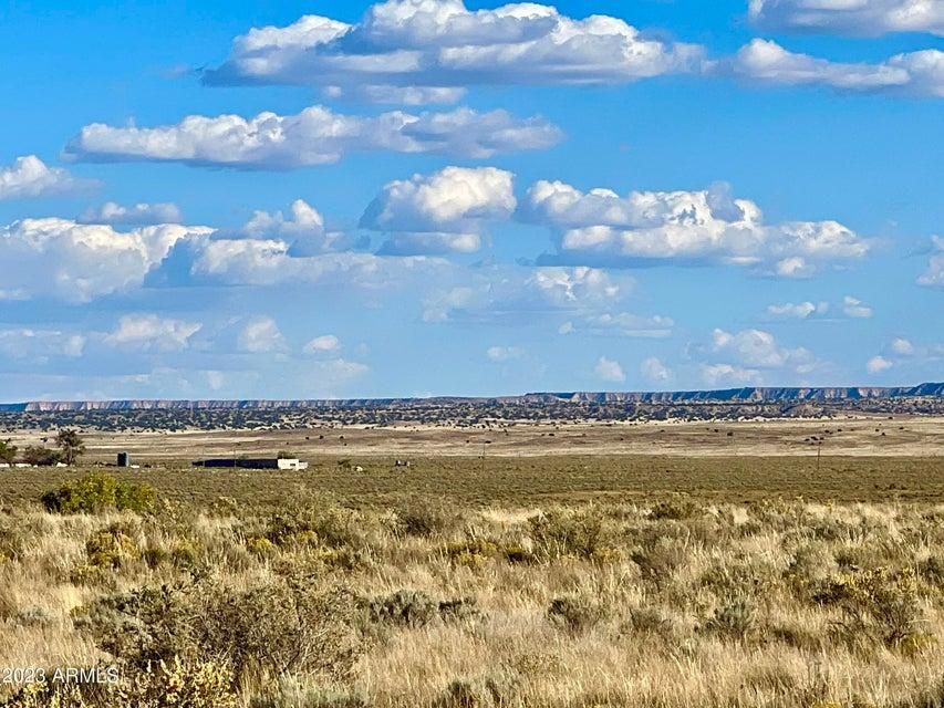 Rolling Hills Ranch, Sanders, AZ 86512 | MLS: 6617308 | Land and Farm