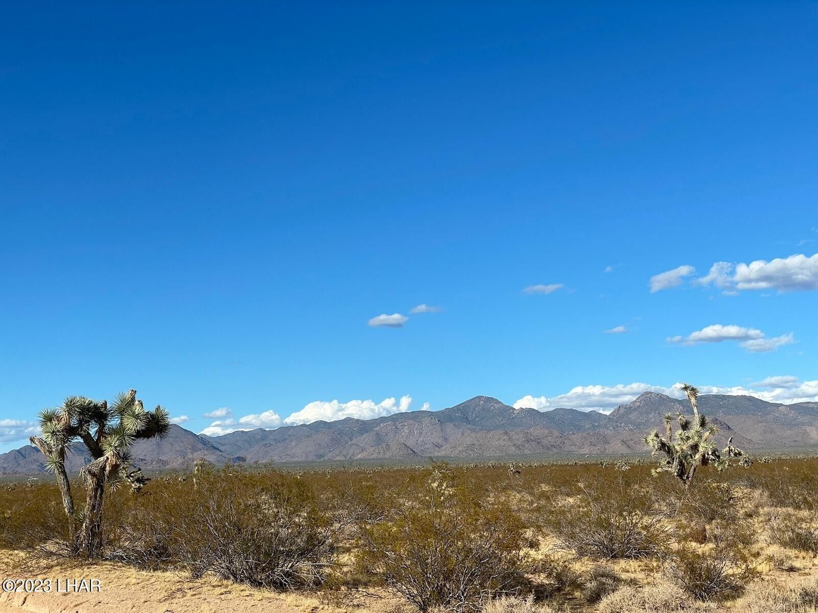 39.94 Acres, 2326 S John Wayne Rd, Yucca, AZ 86438 | Land and Farm