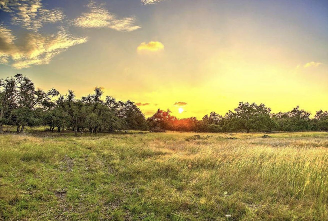 5 acres in Harper, TX, 78631 | MLS: 4508 | Land and Farm