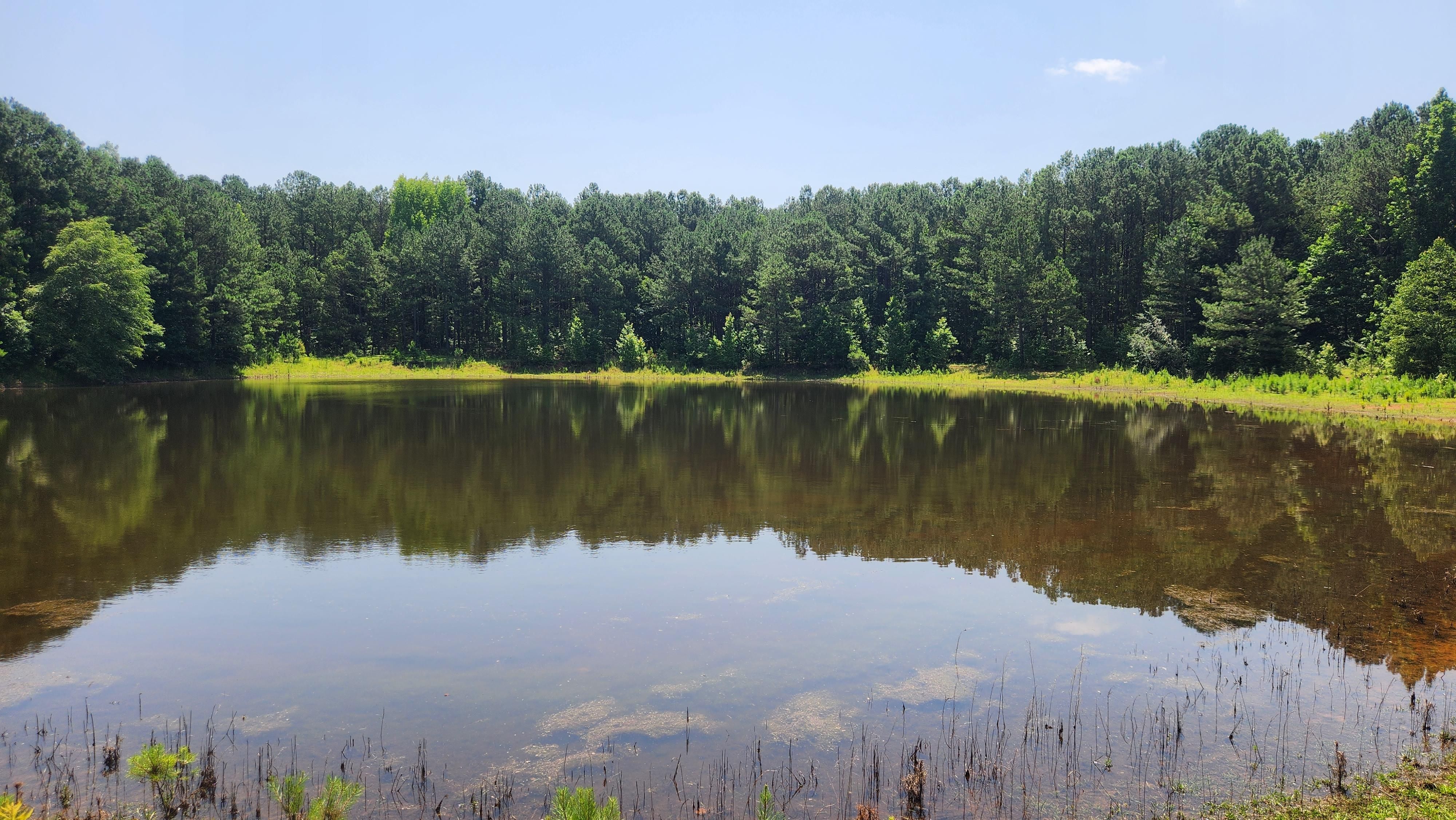 577 Phil Howe Rd, Manchester, GA 31816 | Land and Farm