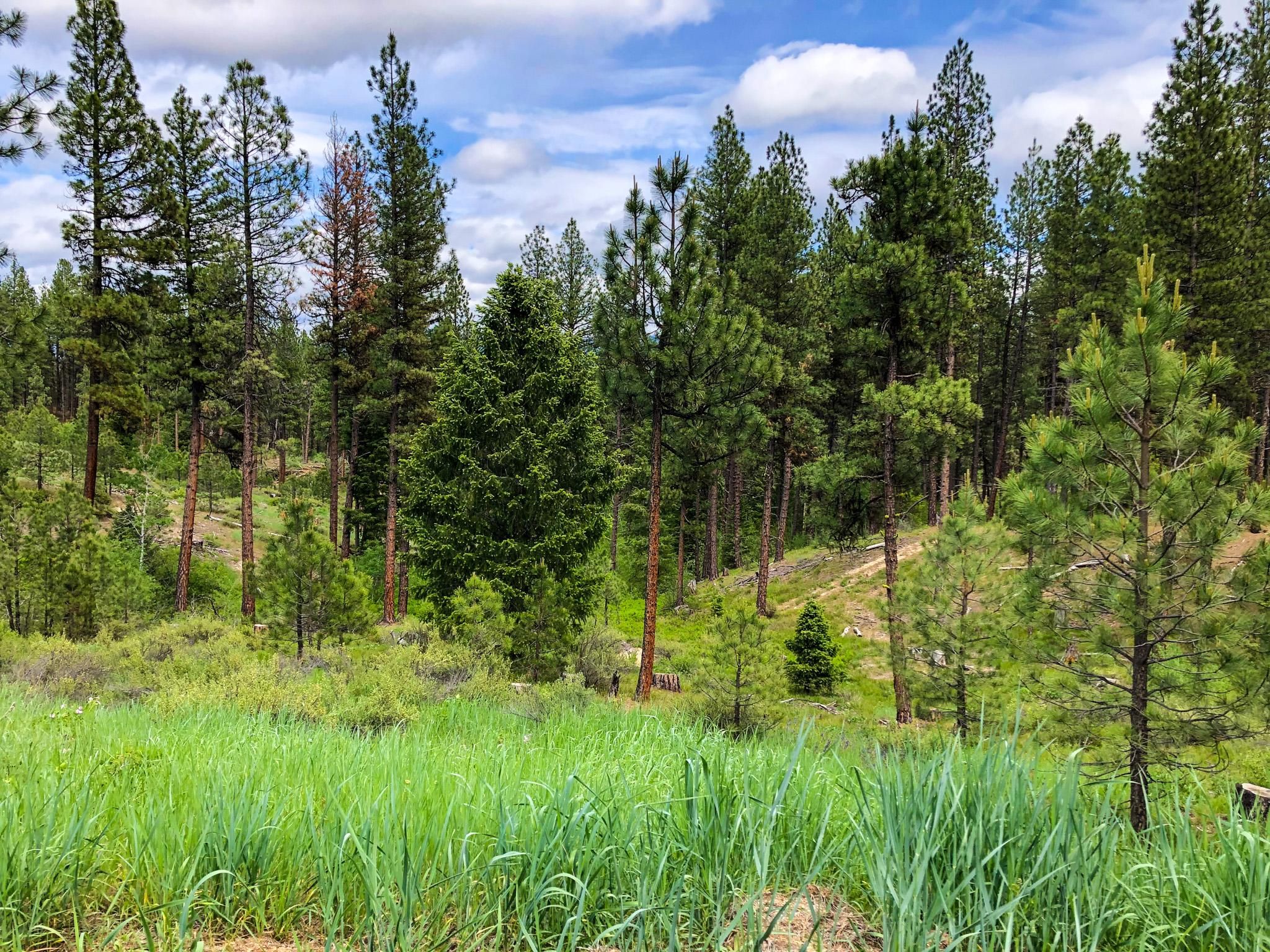 TBD 4 Meadow Creek Dr., Centerville, ID 83631 | Land and Farm