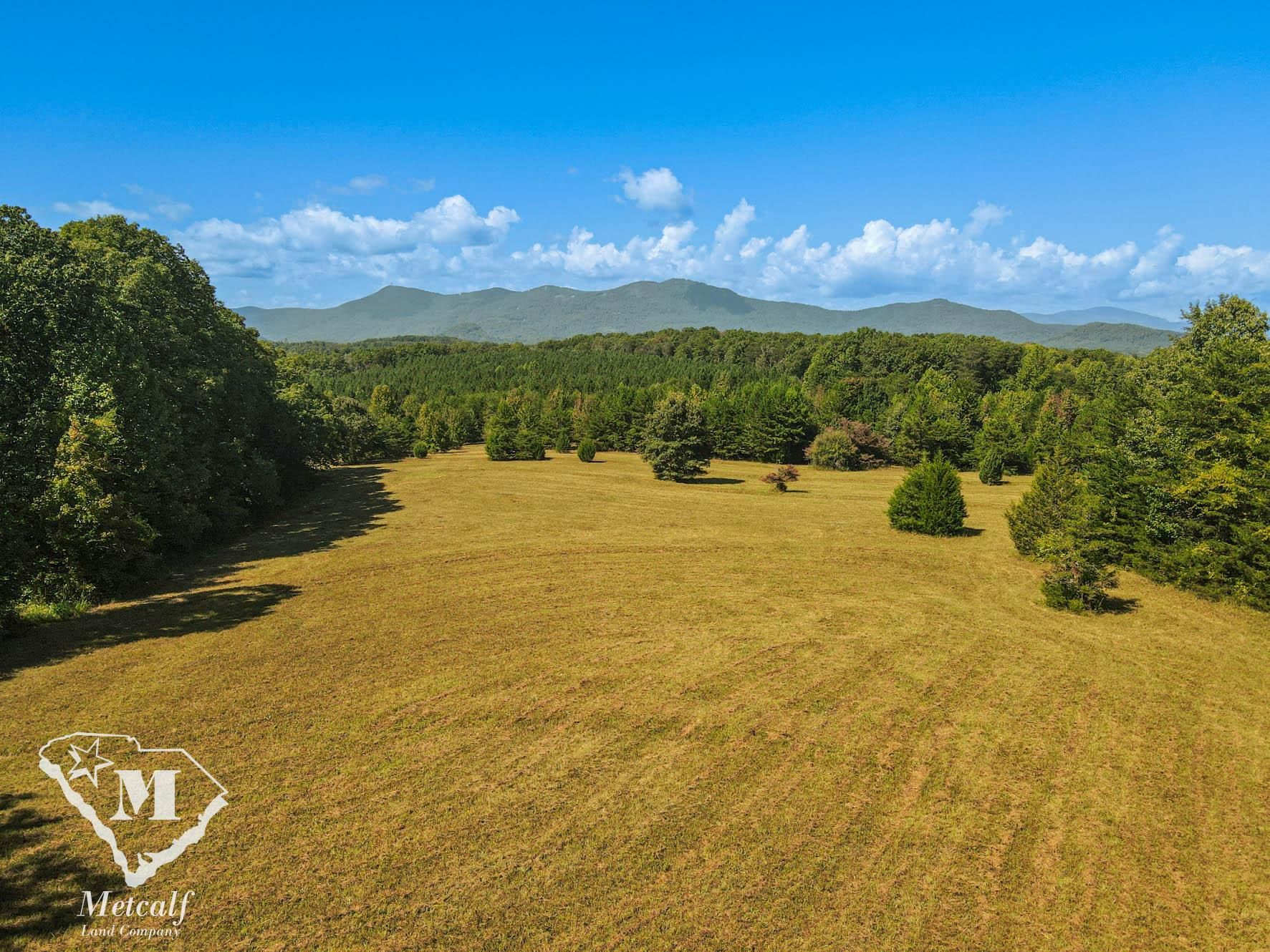 Peniel Road, Tryon, NC 28782 | MLS: 498000 | Land and Farm