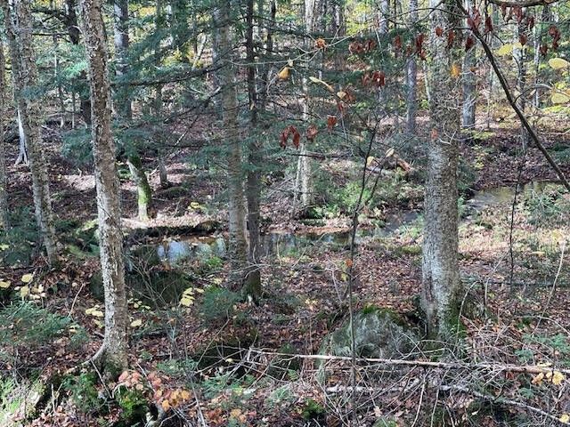170 Acres, M7l26-2 Map 7 lot 26-2, Linneus, ME 04730 | Land and Farm