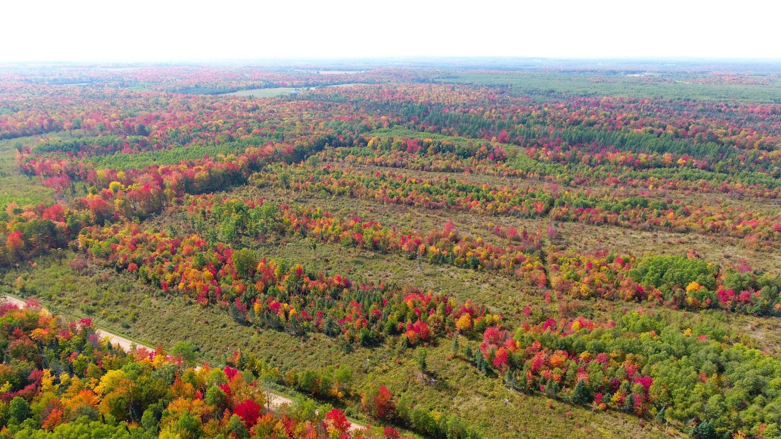 North Pratt Road, Gleason, WI 54435 | Land and Farm